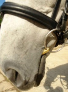 Fitting the Bit - Neue Schule