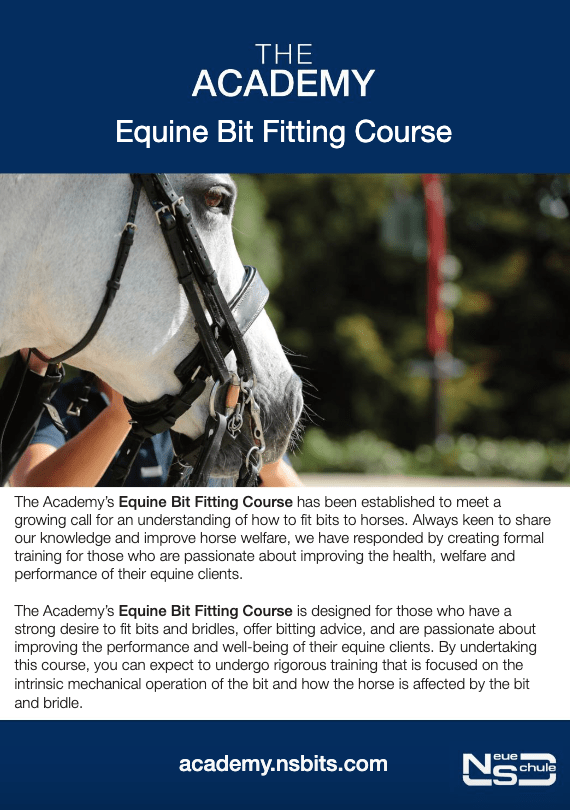The Academy Bit Fitting Course - Neue Schule