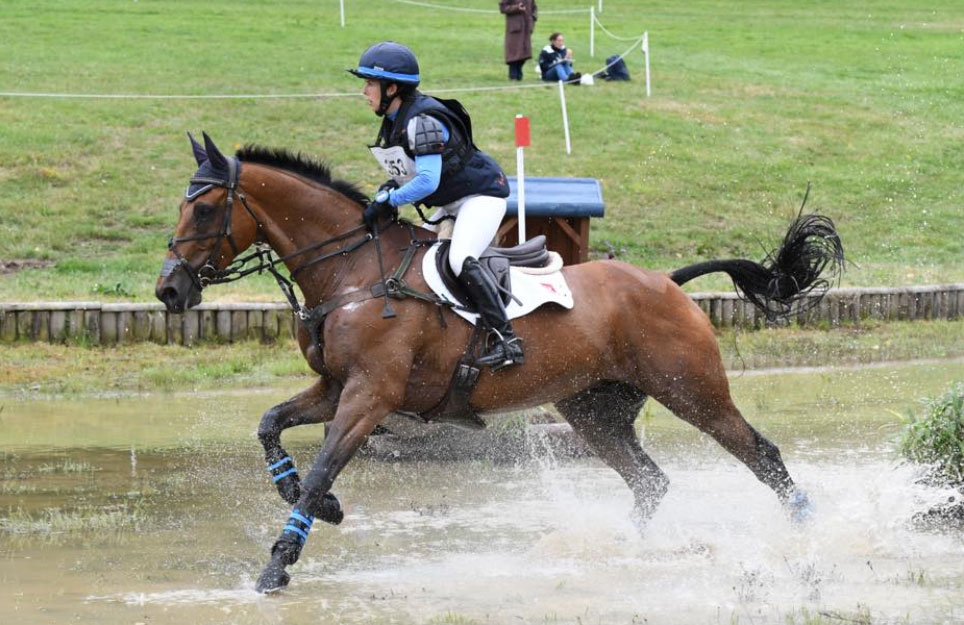 Neue Schule - Emily Baldwin - Neue Schule