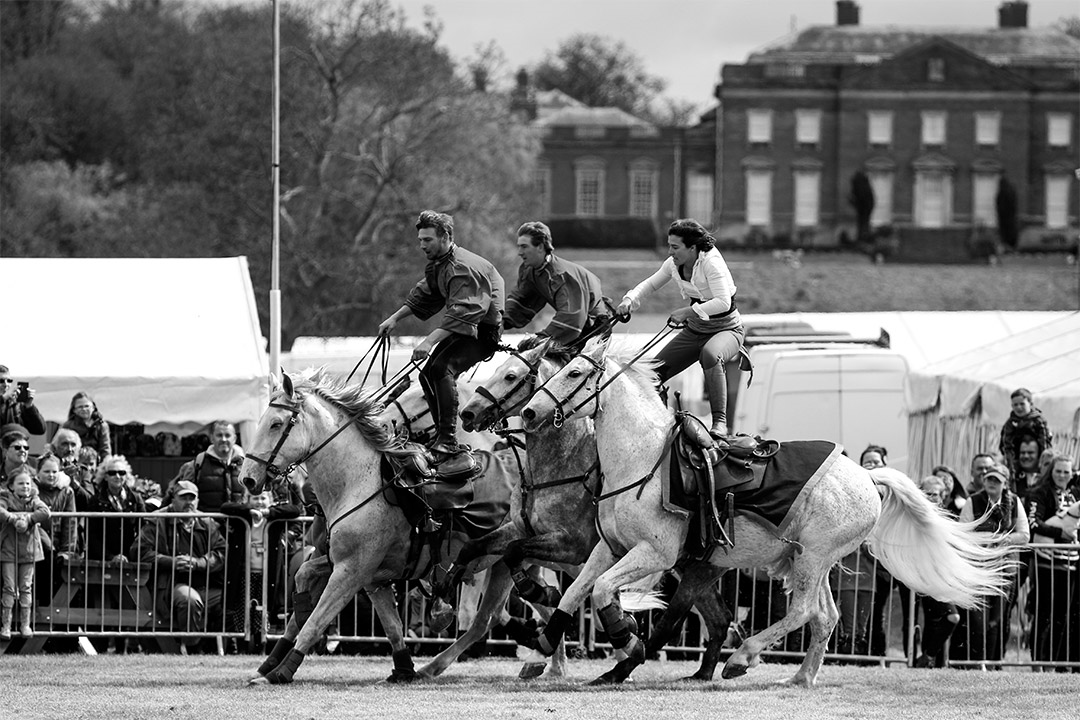 The Devil's Horsemen - Neue Schule